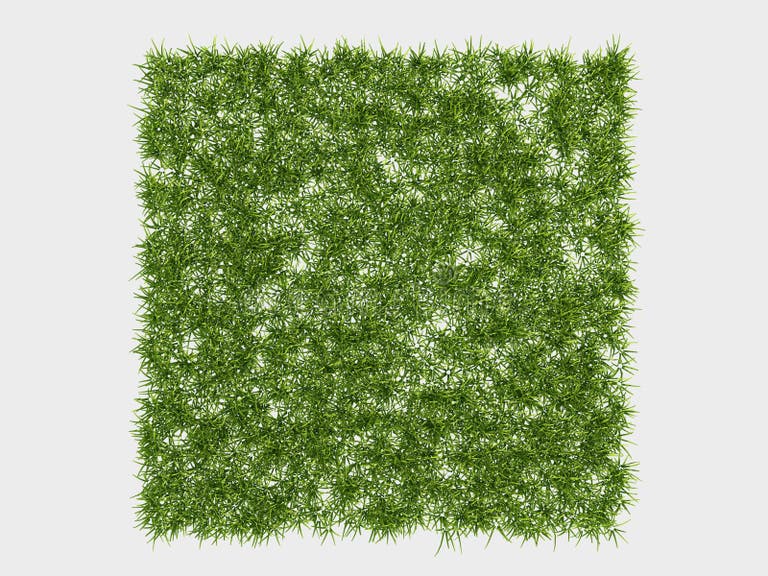 Grass Patch Stock Illustrations – 12,199 Grass Patch Stock ...