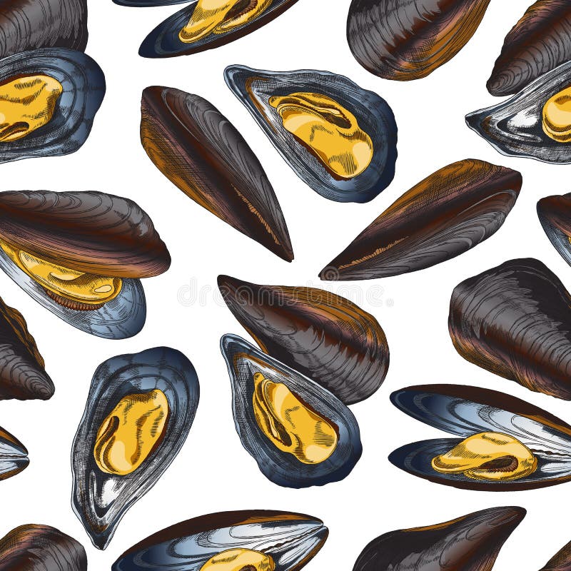 Seamless Repeatable Pattern Texture with Mussels Sketch Vector ...