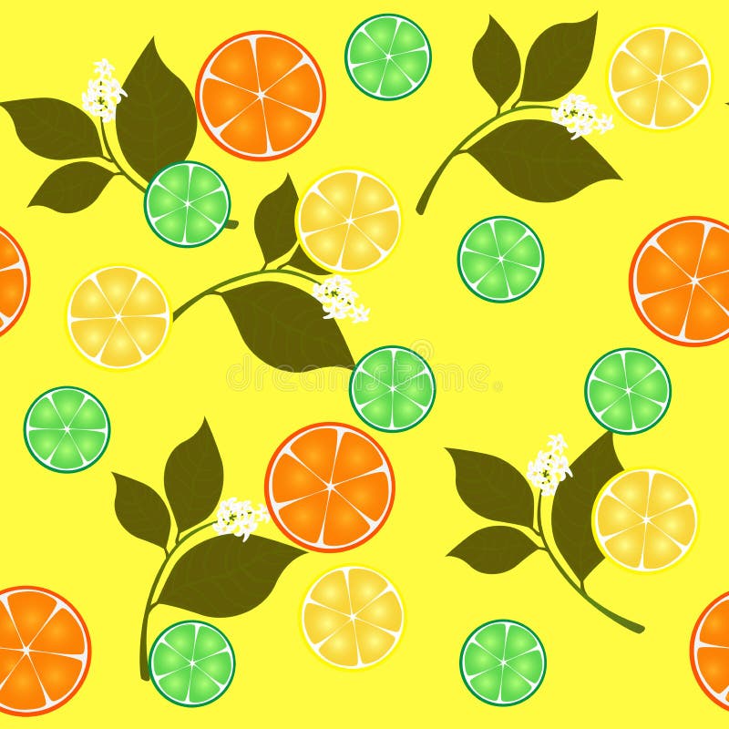 Seamless Repeating Design with Citrus Fruits Stock Vector ...