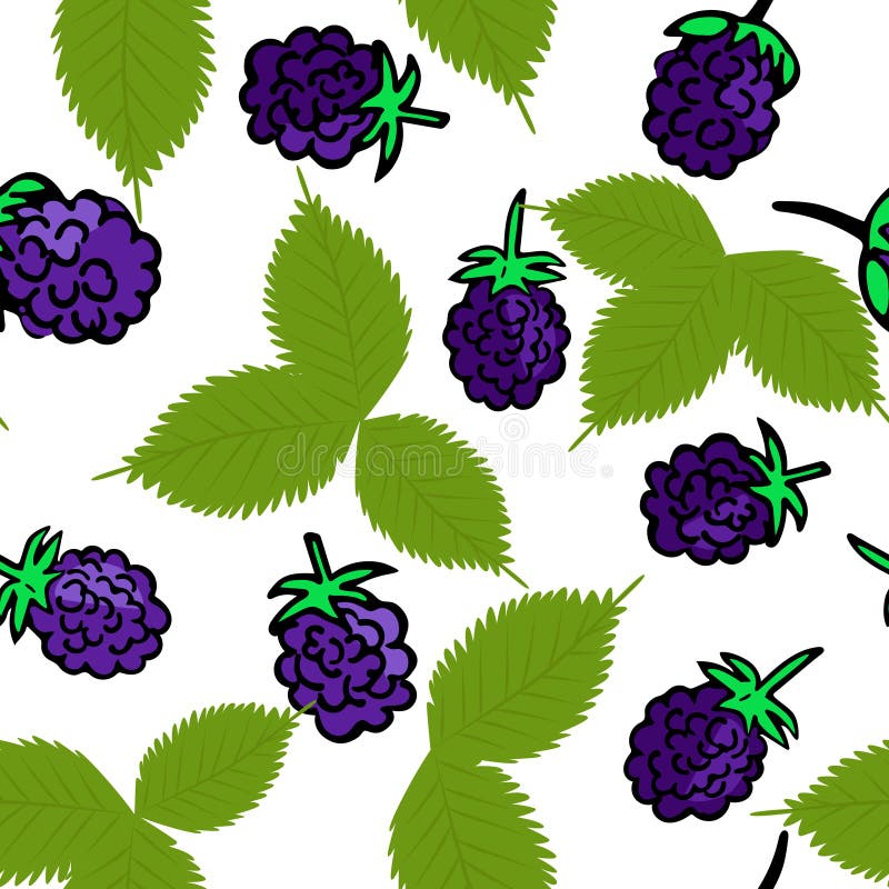 Seamless Repeating Pattern with Blackberries. Berries and Leaves, Solid ...