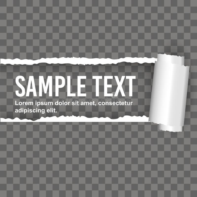 Seamless Ripped Paper and Transparent Background Stock Vector ...