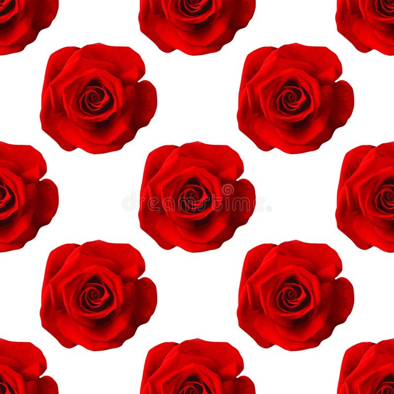 Seamless Rose Pattern and Background Vector Illustration Stock Vector ...