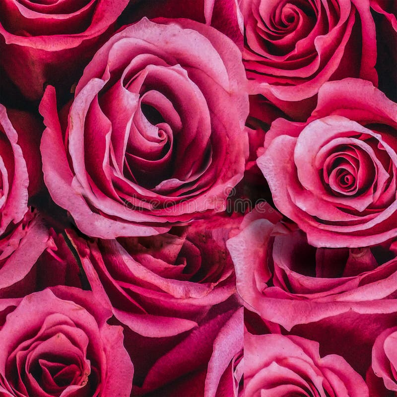 Seamless Rose Texture for Fabric Decoration. Stock Illustration ...