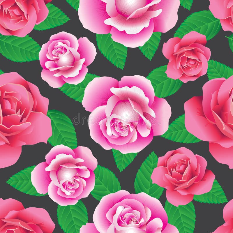 Seamless Roses Pattern stock vector. Illustration of textile - 102462237