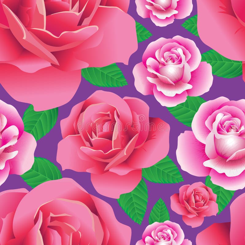 Seamless Roses Pattern stock vector. Illustration of colour - 102469630