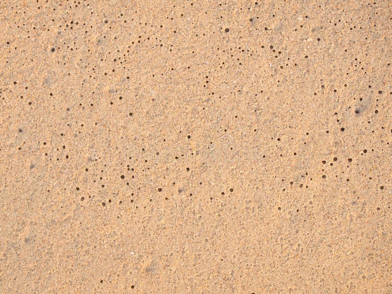 Seamless sand background stock photo. Image of seamless - 181634262