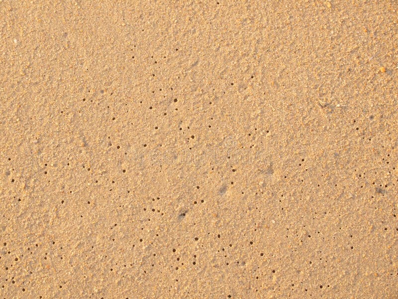 Seamless sand background stock photo. Image of seamless - 181634360