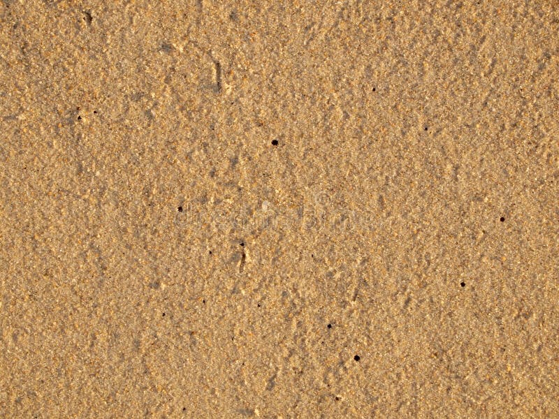 Seamless sand background stock photo. Image of brown - 181634570