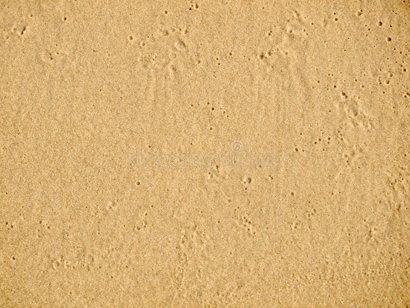 Seamless sand background stock image. Image of flat - 185708169