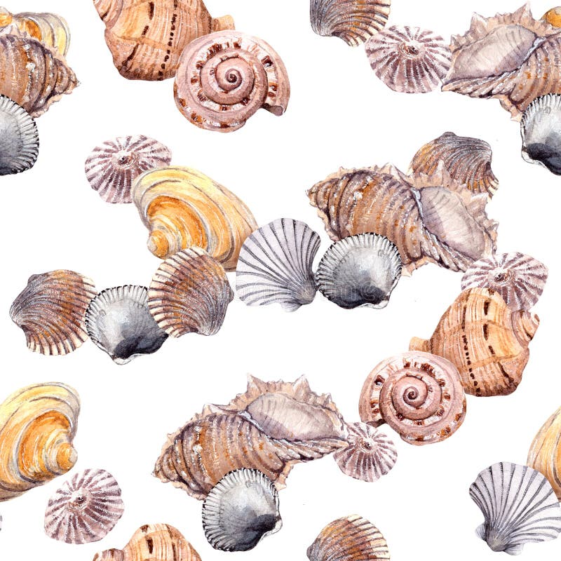 Seamless Sea Shell Pattern on White Background. Aquarelle Stock ...