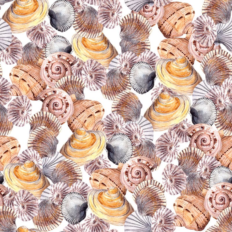 Seamless Sea Shell Pattern on White Background. Aquarelle Stock ...