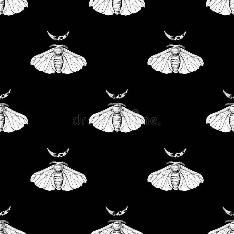 Seamless Silk Moth Pattern on a Dark Background Stock Vector ...