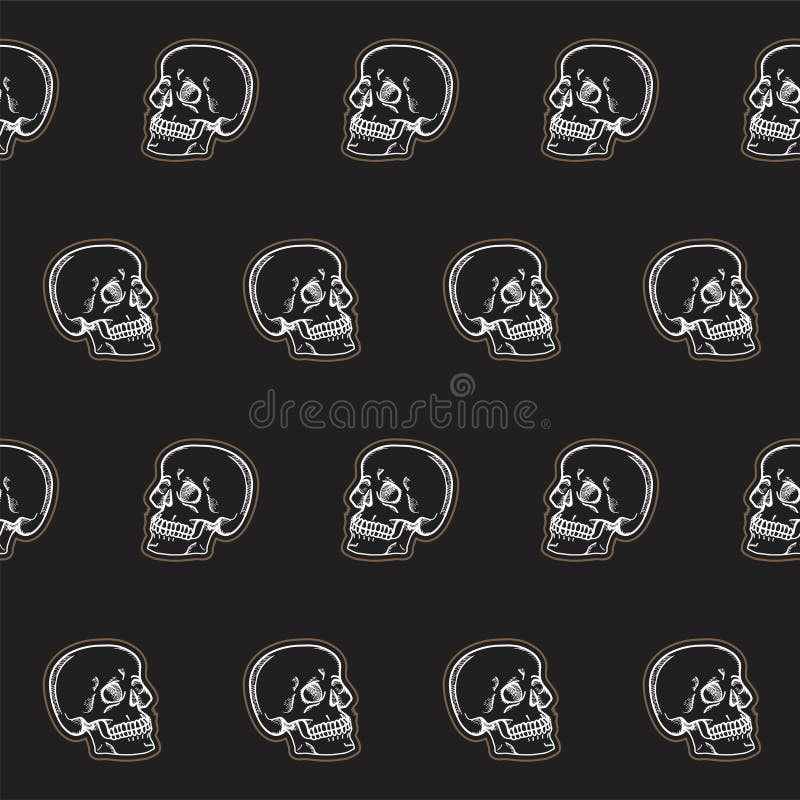 Seamless skulls pattern stock vector. Illustration of bone - 211172424