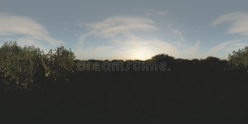 Seamless 360 Sky and Forest Landscape Panorama Stock Illustration ...