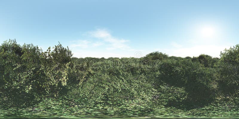 Seamless 360 Sky and Forest Landscape Panorama Stock Illustration ...