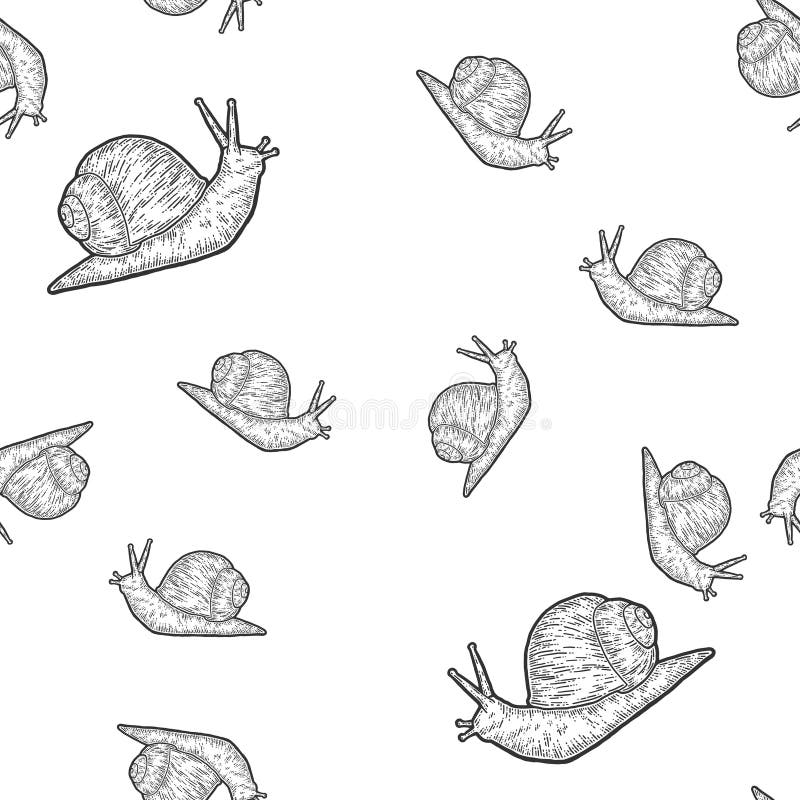 Seamless. Snail Gastropods, Isolated Animal. Sketch Scratch Board ... Seamless. Snail Gastropods, Isolated Animal. Sketch Scratch Board ...