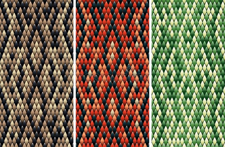 Seamless snakeskin pattern stock vector. Illustration of skin - 34768587