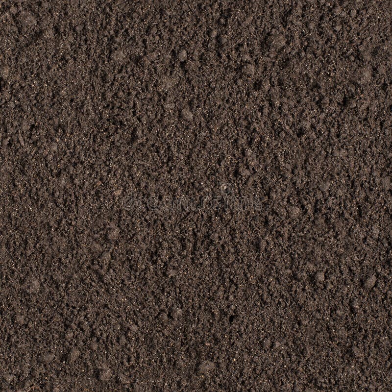 Seamless Texture - The Surface Of The Soil Stock Photo - Image of color ... Seamless Texture - The Surface Of The Soil Stock Photo - Image of color ...