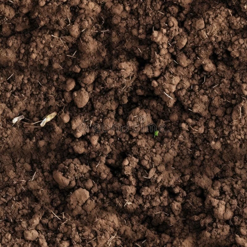 Seamless soil texture stock illustration. Illustration of field - 289172773