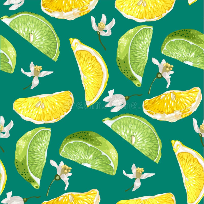 Seamless Summer Pattern with Citrus Slices of Lemon and Lime Tree ...