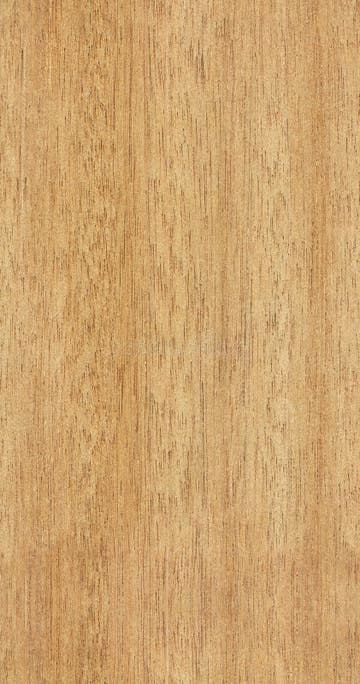 Seamless teak texture stock photo. Image of wood, parquet - 18207958