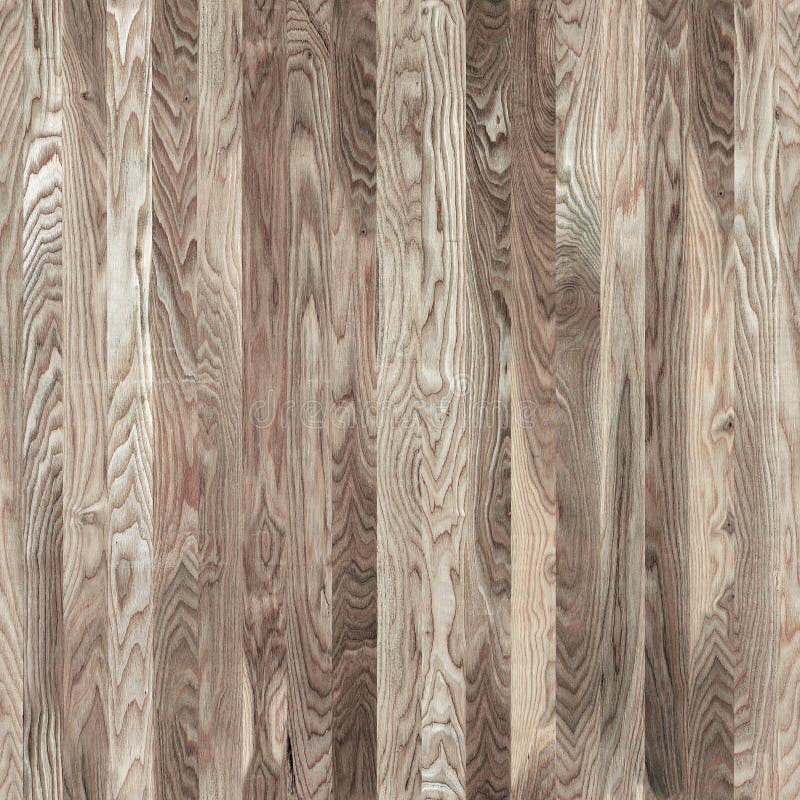 Seamless Texture of Ash-tree Wood Stock Photo - Image of timber ...