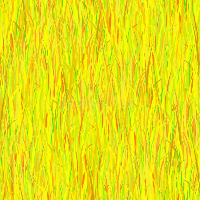 The Set Seamless of Autumn Grass. Stock Vector - Illustration of ...