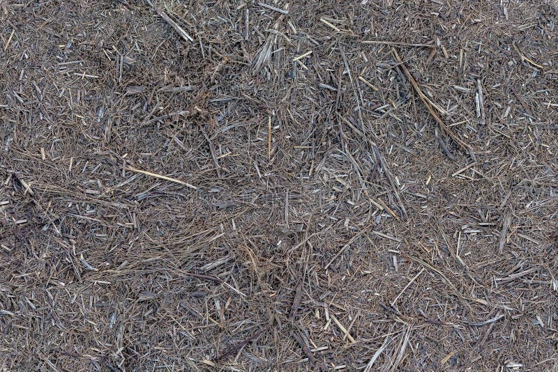 63+ Dead grass texture Free Stock Photos - StockFreeImages