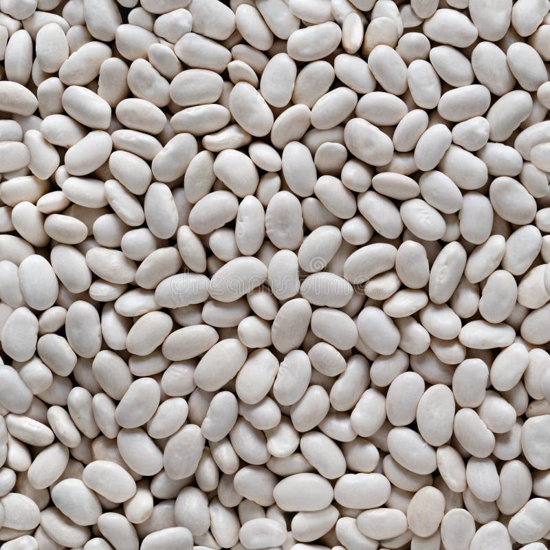 Seamless Texture of Background of White Beans. Stock Image - Image of ...