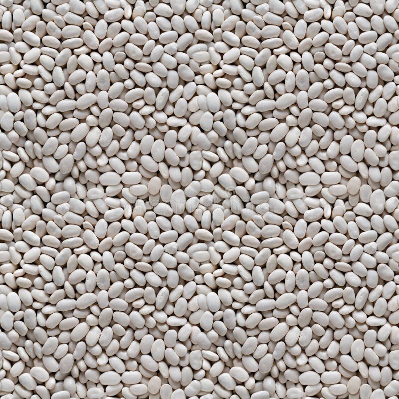 Seamless Texture of Background of White Beans. Four Fragments in One ...