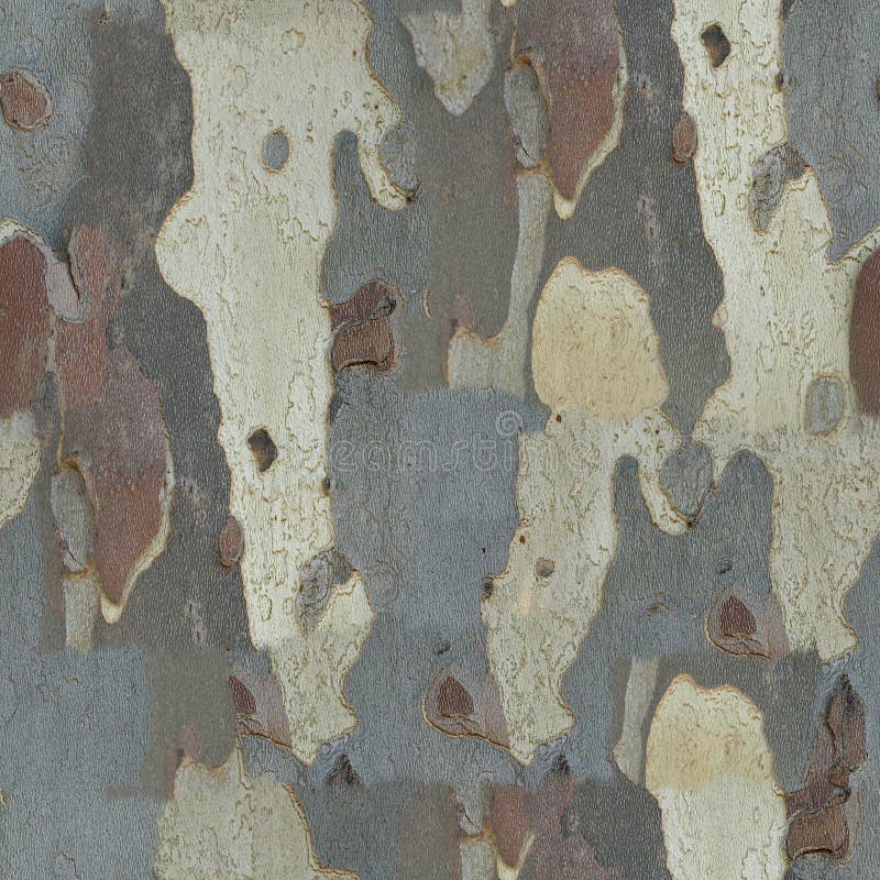 Seamless Mimetic Texture Stock Photos - Free & Royalty-Free Stock ...