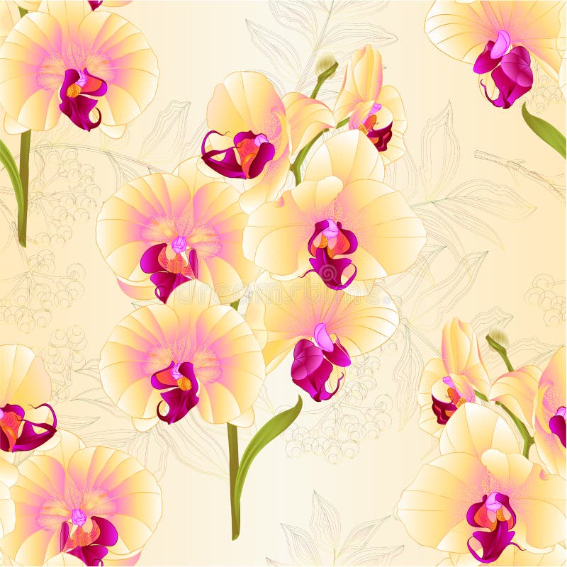 Seamless Texture Branch Orchid Phalaenopsis Yellow Flowers And Leaves