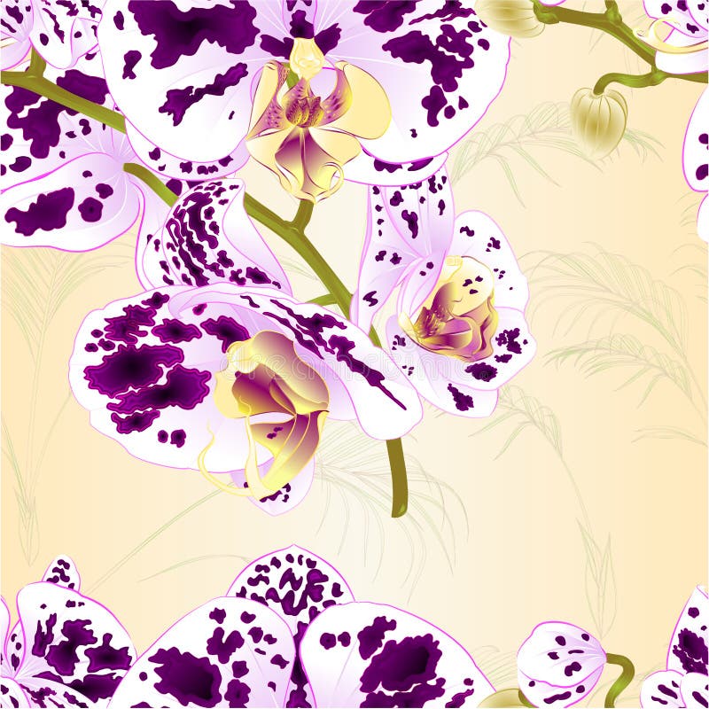 Seamless Texture Branch Orchids Spotted Purple And White Flowers