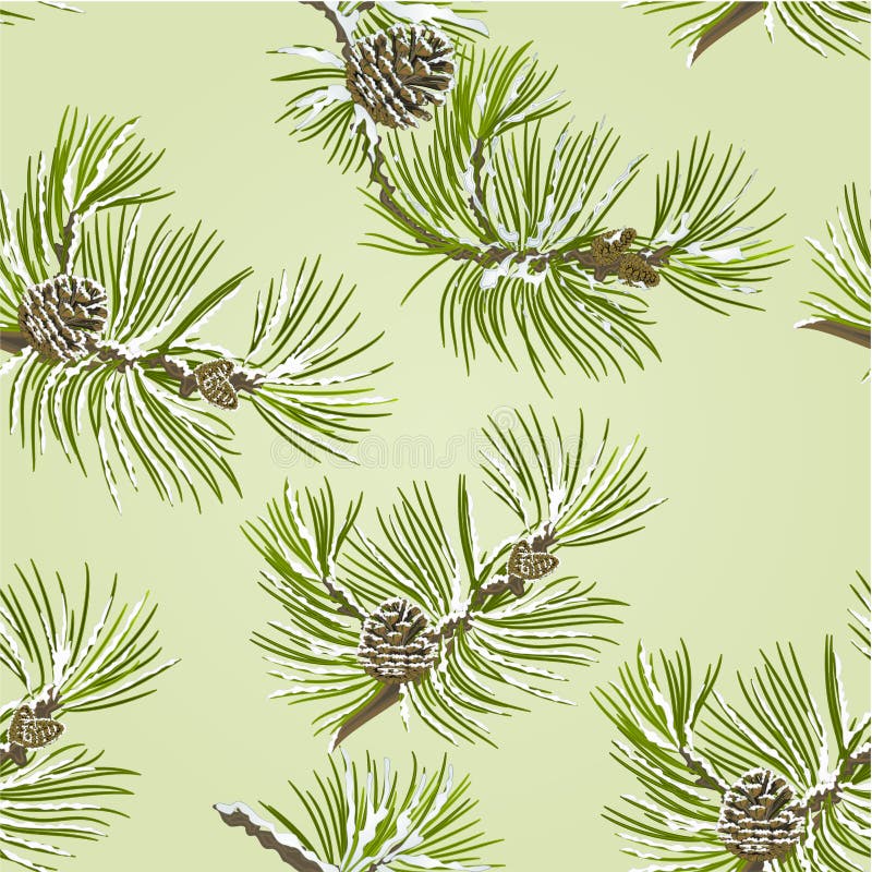 Seamless Texture Branch Pine Tree with Pine Cones and Snow Vector Stock ...