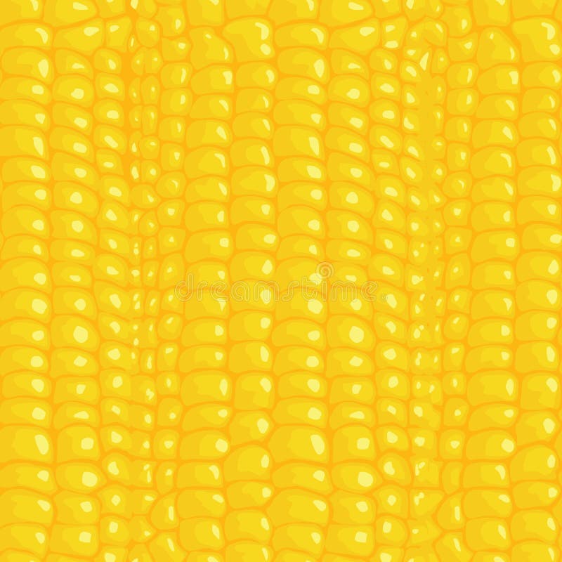 Seamless texture corn stock vector. Illustration of cooking - 41629984