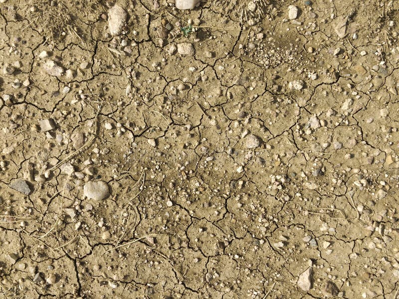 Seamless Texture Dry Dirt, High Quality Stock Photo - Image of land ...
