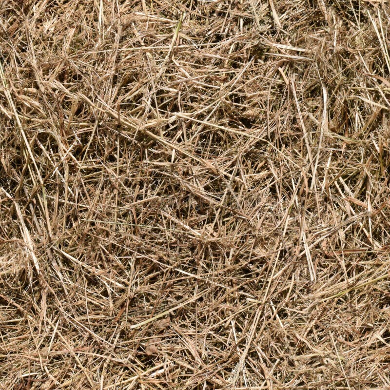 897 Dry Grass Texture Seamless Stock Photos - Free & Royalty-Free Stock ...