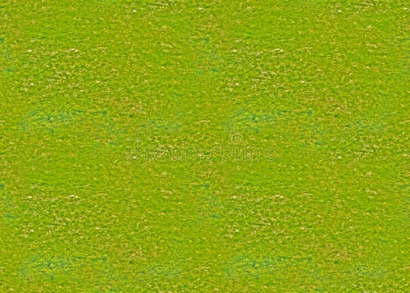 Endless lawn stock photo. Image of background, field - 11172732
