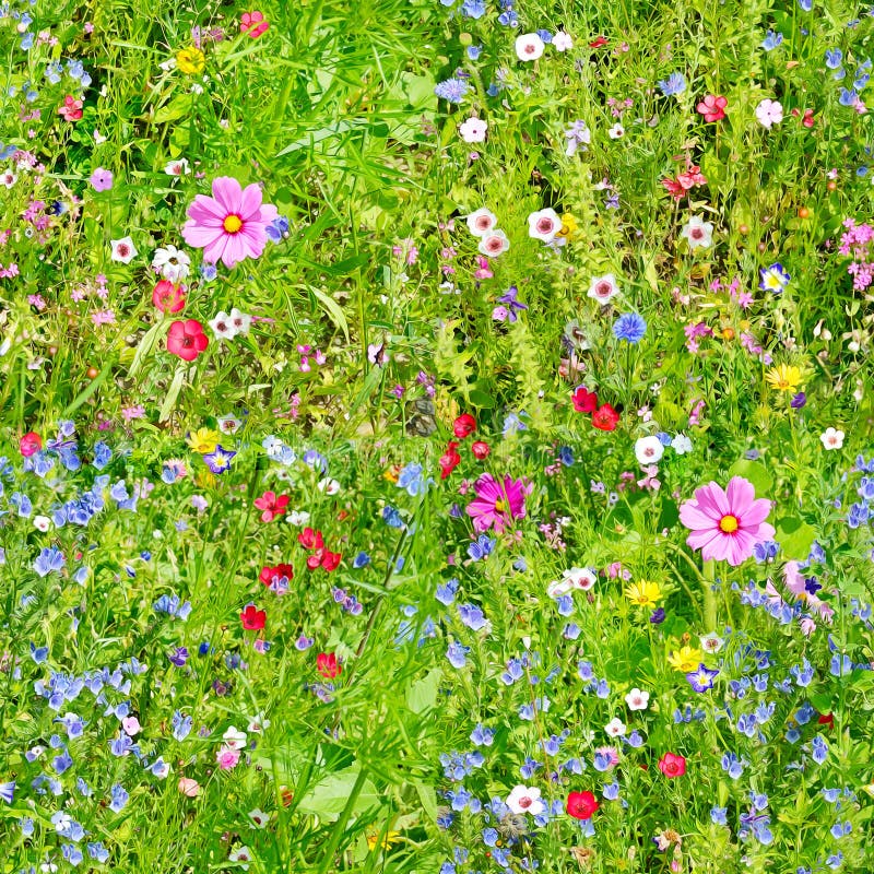 Seamless texture flowers stock image. Image of bloom - 157293665