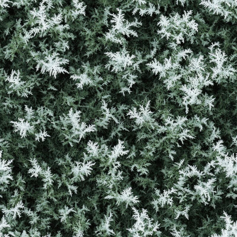 Seamless Texture of Frost-covered Moss, Deep Green with Delicate White ...