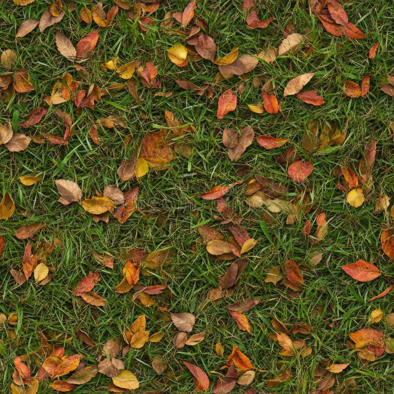 Seamless Texture of a Grass Field, Some Areas Covered with Fallen ...
