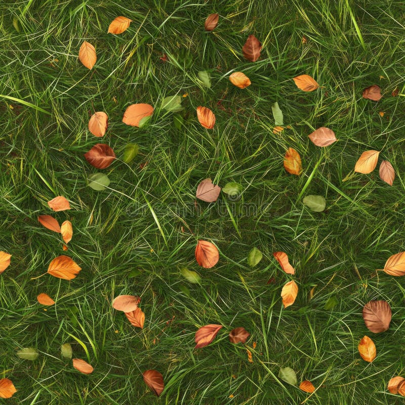 Seamless Texture Grass Field Some Areas Covered Fallen Autumn Leaves ...