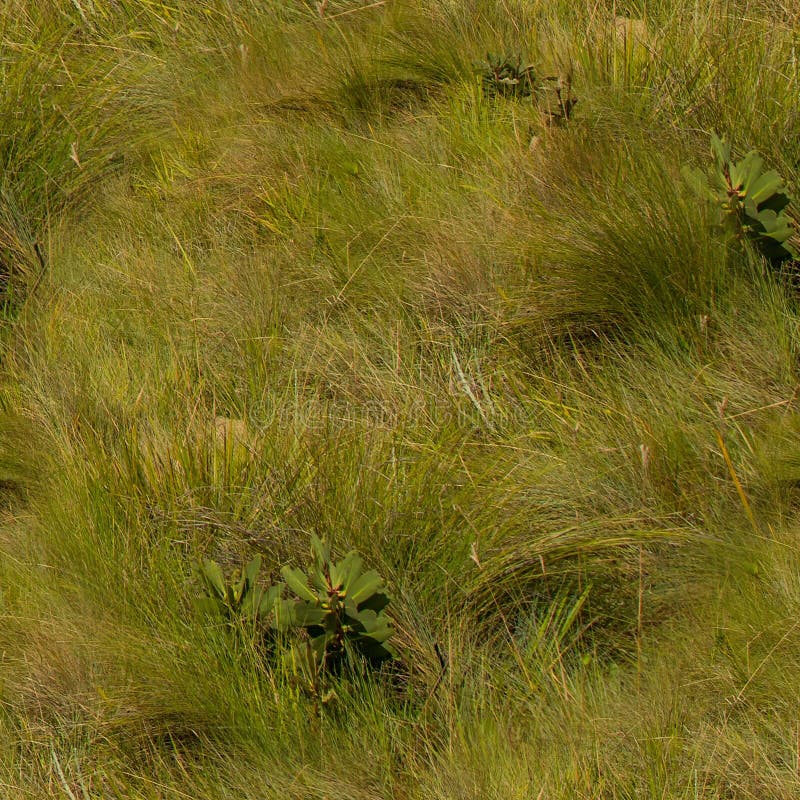 5,540 Infinite Texture Stock Photos - Free & Royalty-Free Stock Photos ...