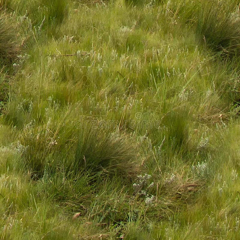 5,540 Infinite Texture Stock Photos - Free & Royalty-Free Stock Photos ...