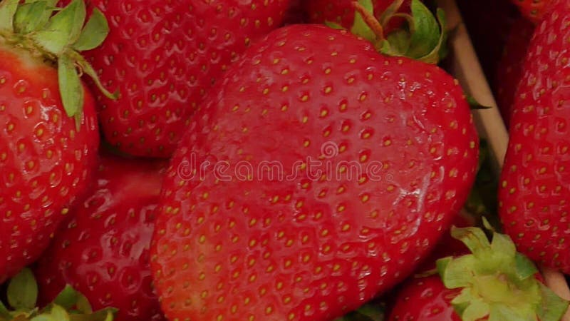 Seamless Texture of Juicy Strawberries Stock Image - Image of creative ...