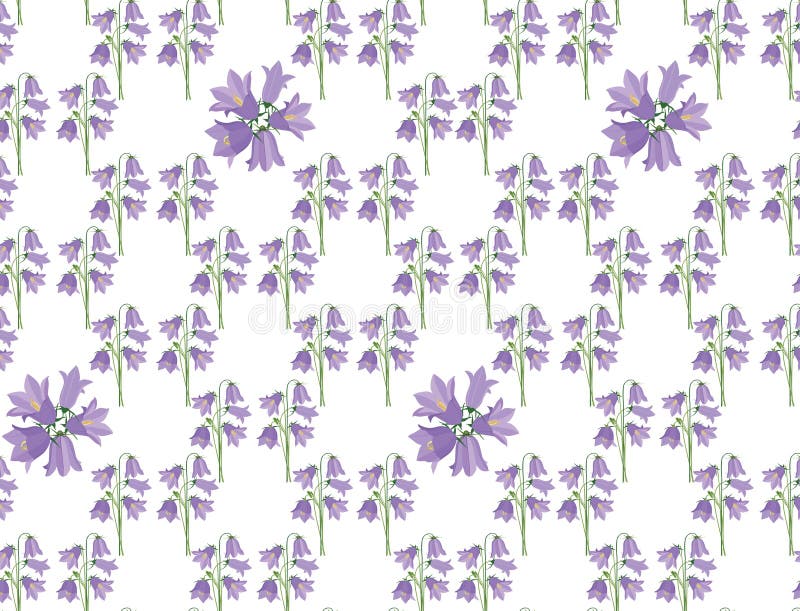 Seamless Background with Meadow Flower Stock Vector - Illustration of ...