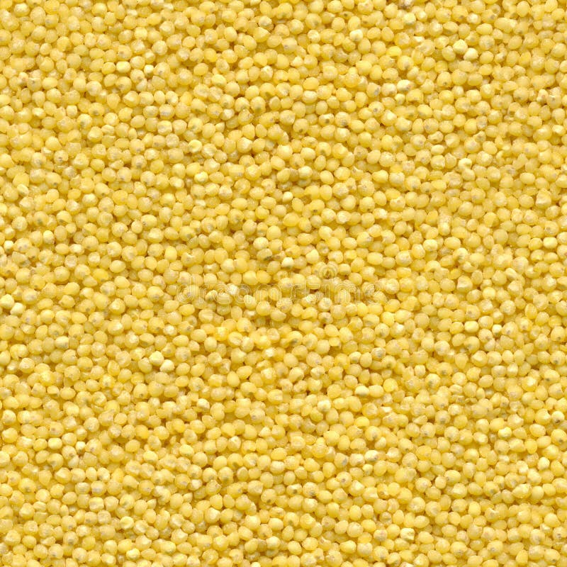 Texture Millet Grains Stock Images - Download 797 Royalty Free Photos