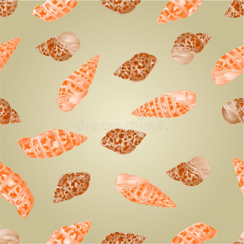 Seamless Texture Seashells and Pearls Vector Stock Vector ...
