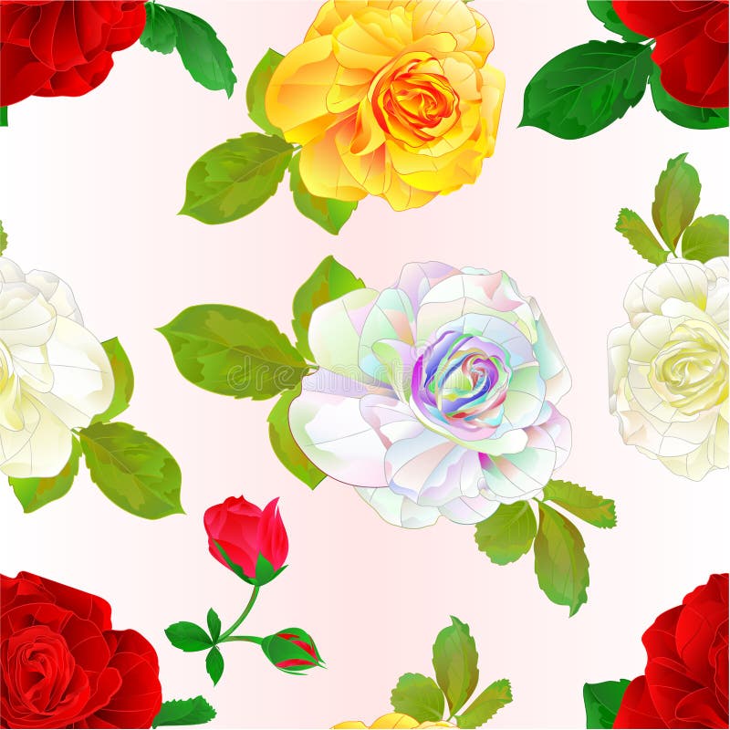 Seamless Texture Multi Colored Roses Simple Stem with Leaves Natural ...