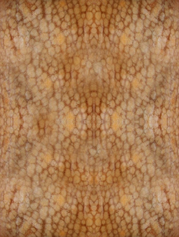 The Seamless Texture of an Octopus Stock Illustration - Illustration of ...